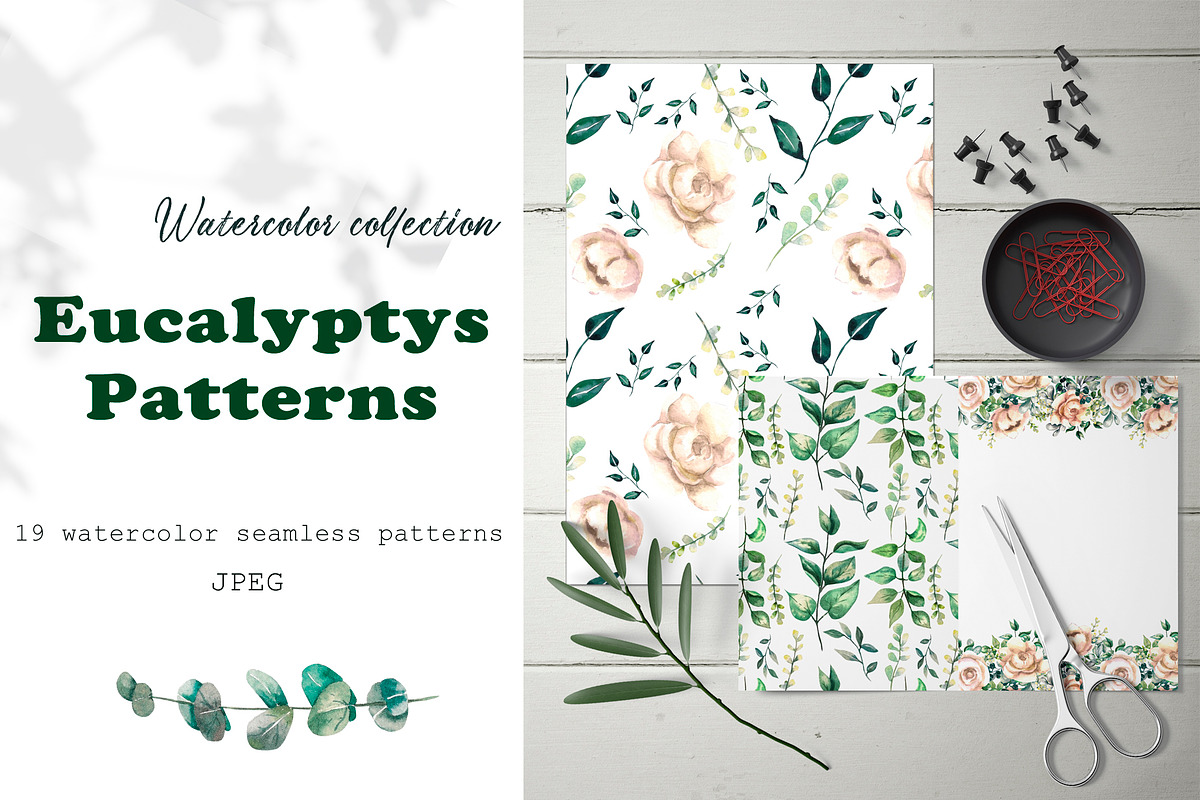 Watercolor Set Eucalyptus Patterns, a Pattern Graphic by Taniarayart