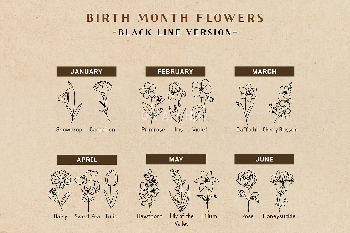 Birth Month Flower Vector-Bundle, a Decorative Illustration by OKArtHub