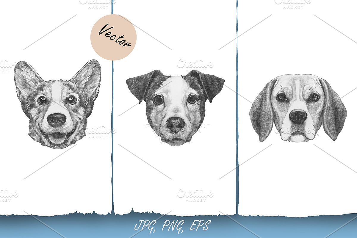 Pets / Small Dogs, an Animal Illustration by Victoria_Novak