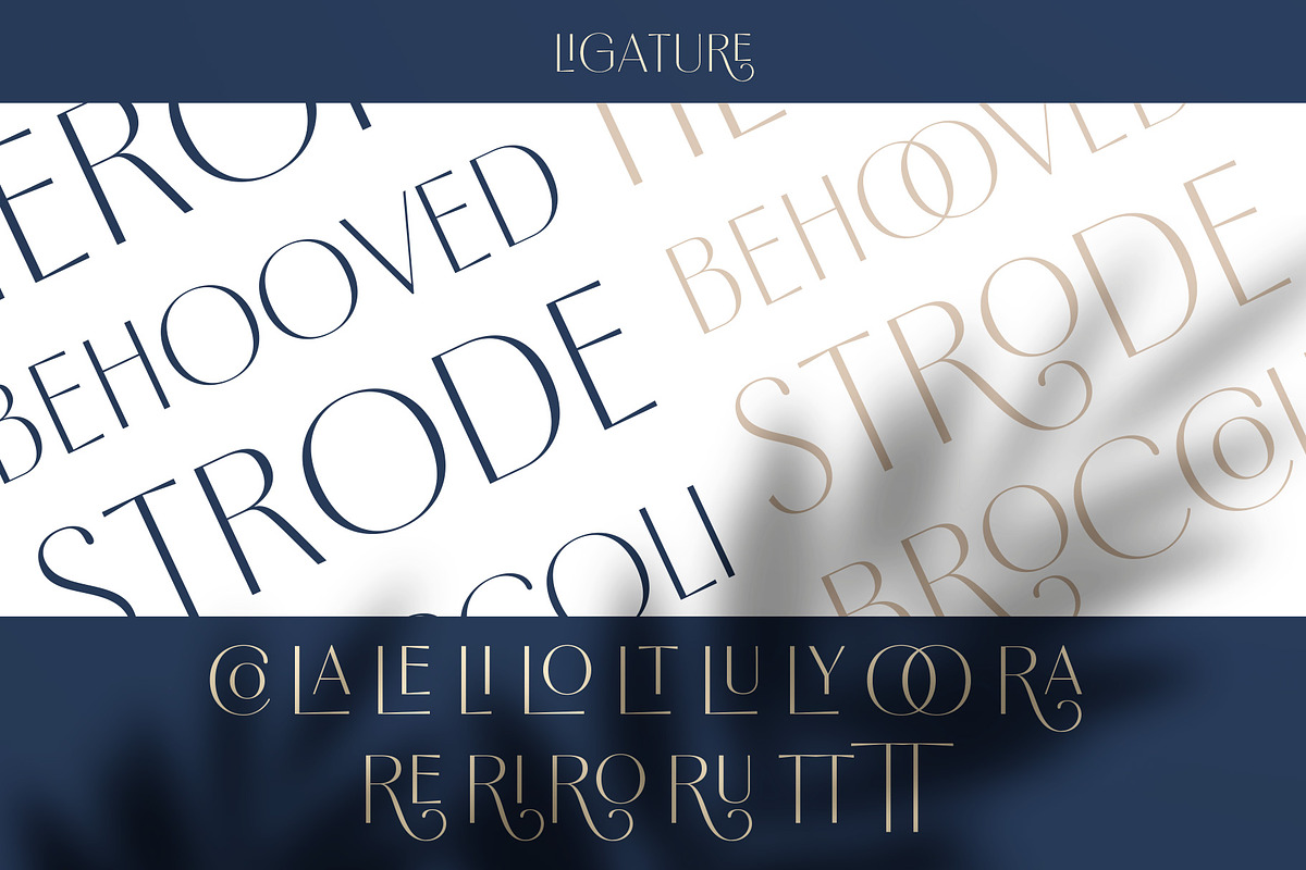 Borest - Elegant Roman Sans Serif, a Sans Serif Font by Flavortype