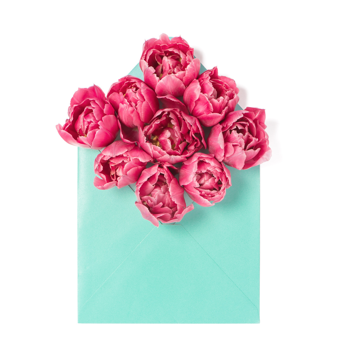 Pink tulip flowers in envelope, a Holiday Photo by LiliGraphie