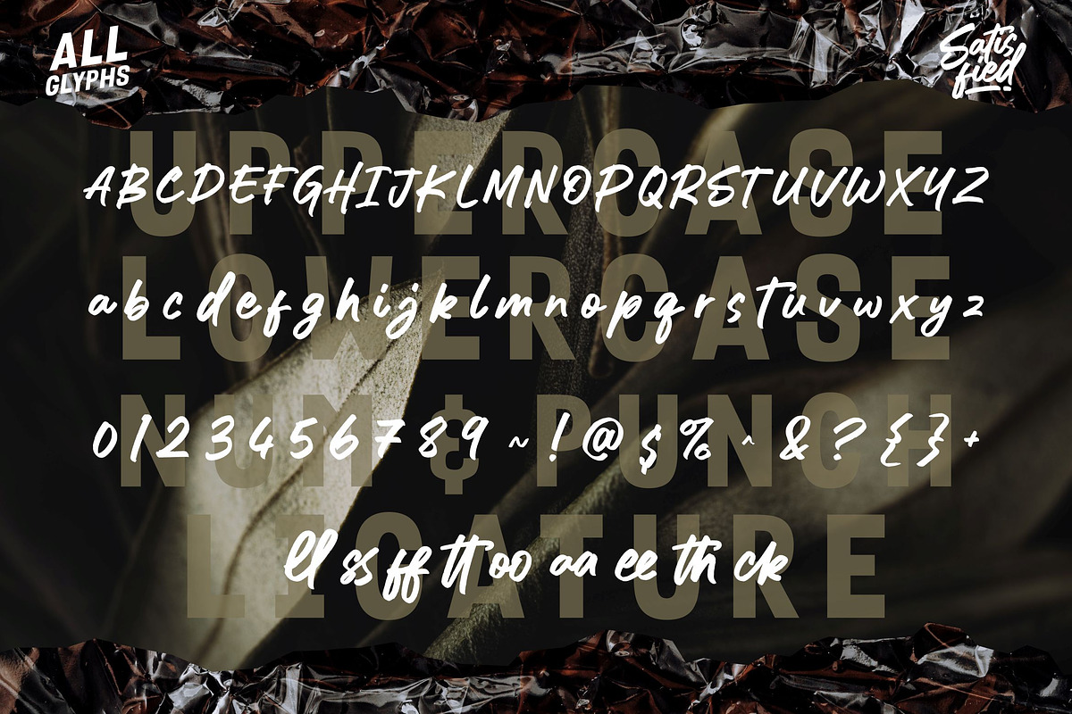 Satisfied - BRUSH FONT, a Script Font by ErgibiStudio