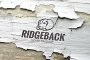 Ridgeback, a Branding & Logo Template by Steinar Logo