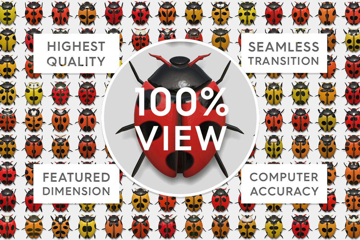 10 Beetle Collection Backgrounds, a Texture Graphic by Textures ...