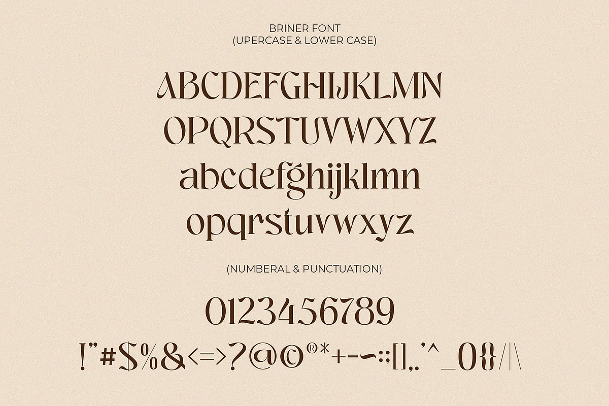 Sinera || modern beautiful font, a Serif Font by ToniStudio