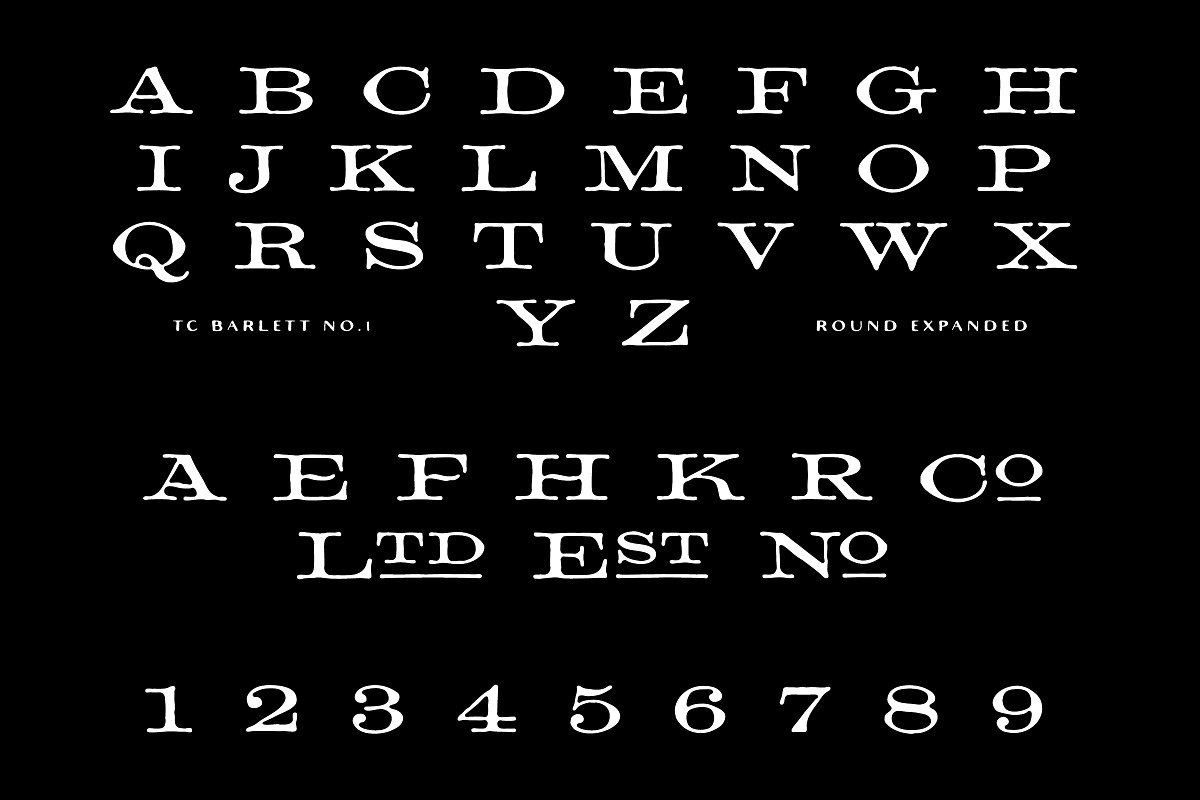 Barlett No1 Vintage Serif and Script, a Handwritten Font by Tom Chalky
