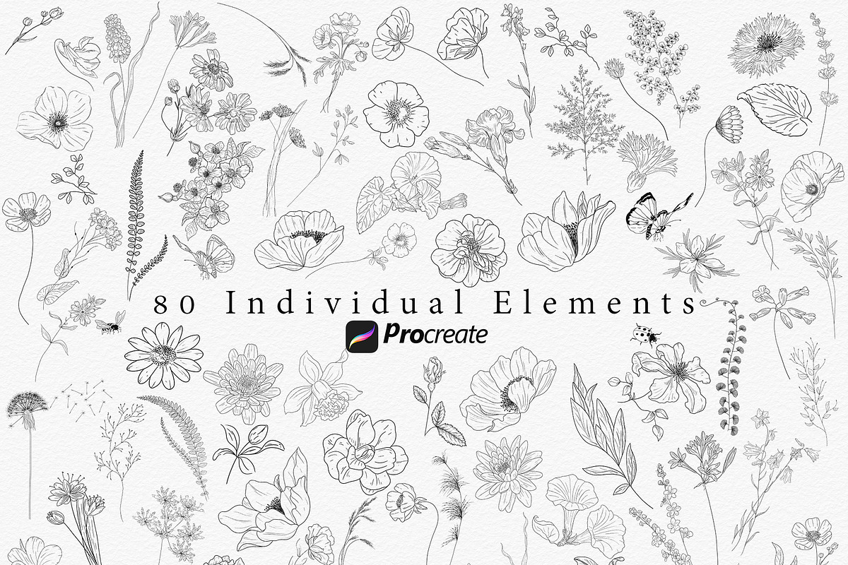 Procreate Wildflower Floral Line Art, a Brush Add-On by AW Studios
