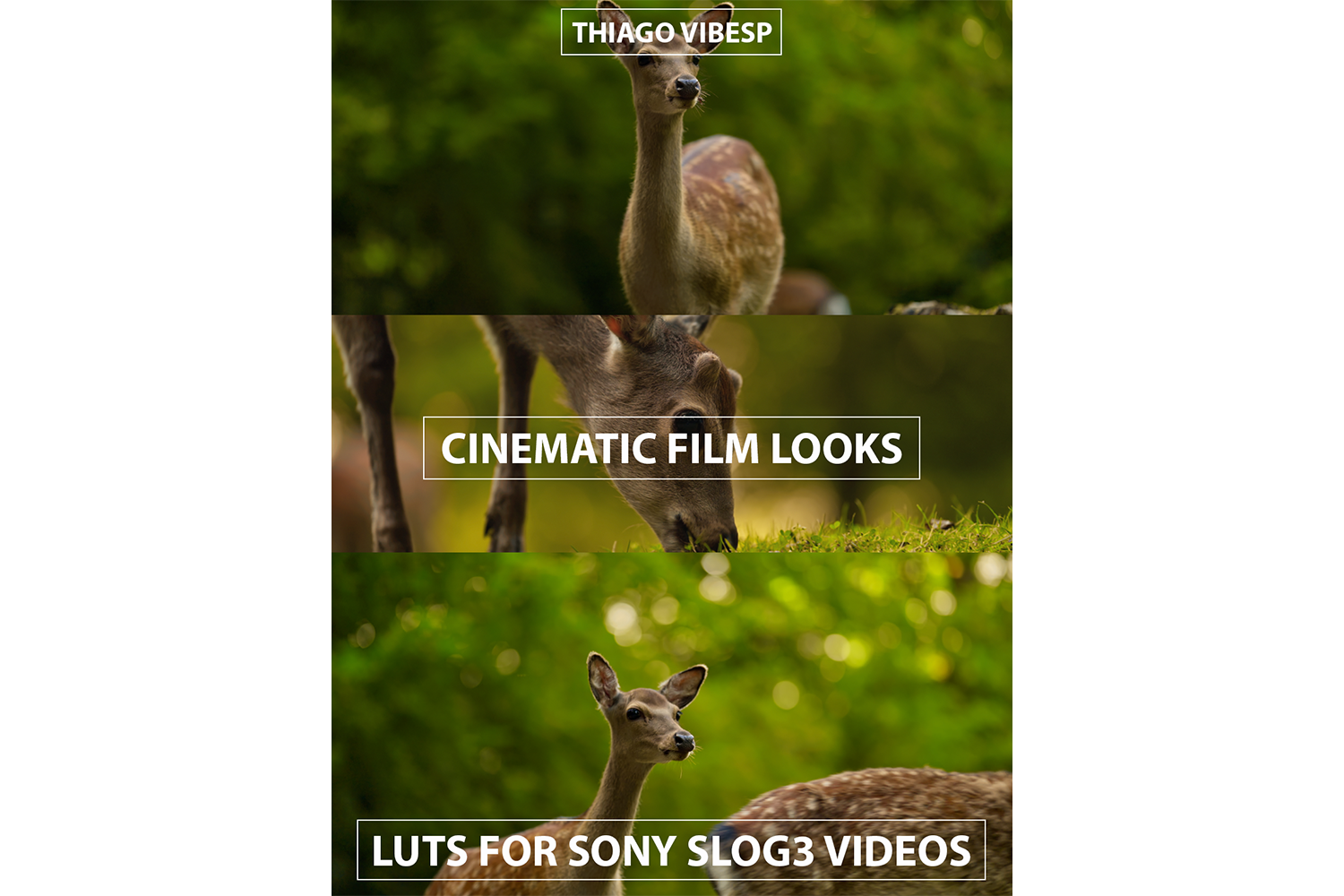 Best Sony Slog LUTs Pack, a Preset Add-On by Thiago Vibesp