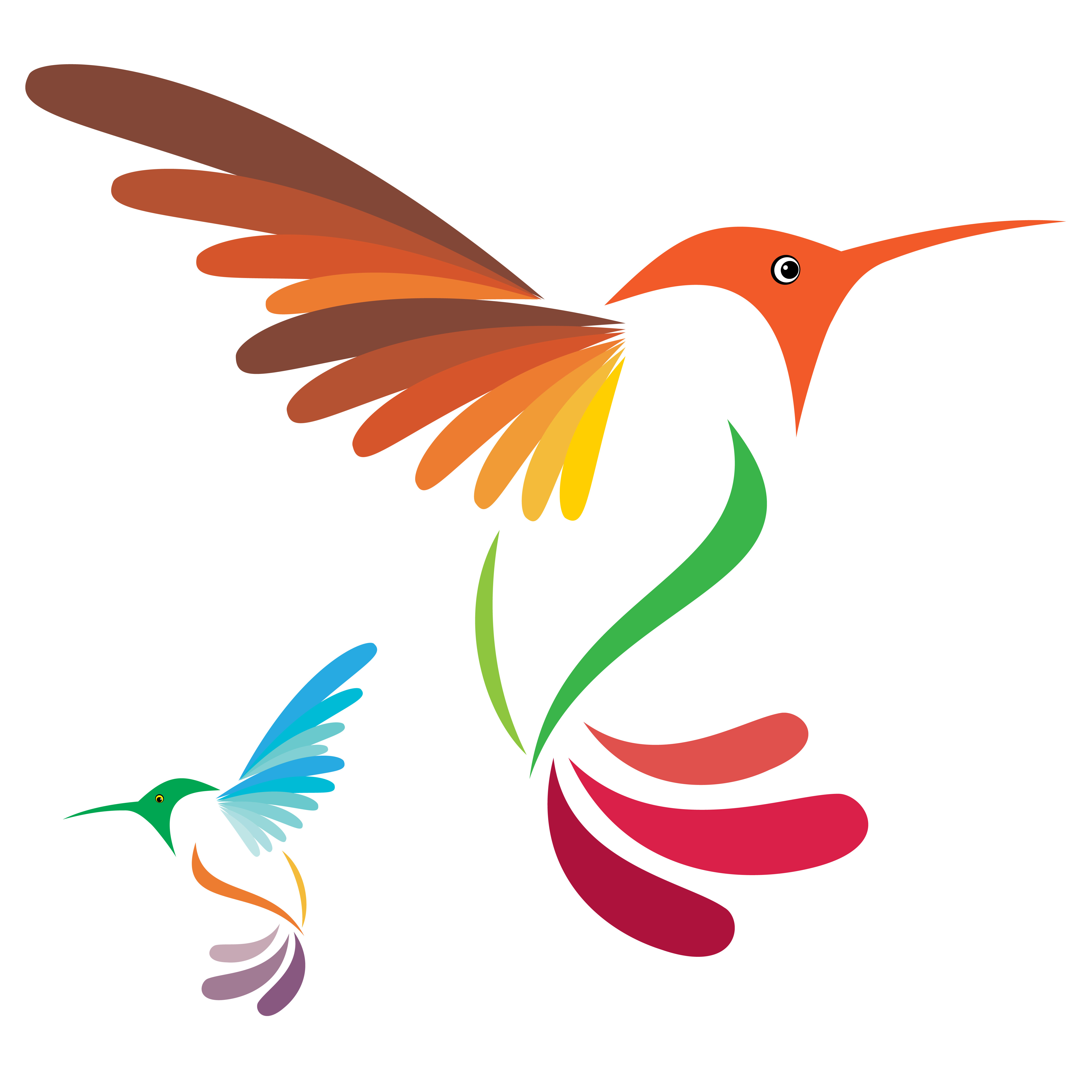 Vector image of an hummingbird | Icons ~ Creative Market