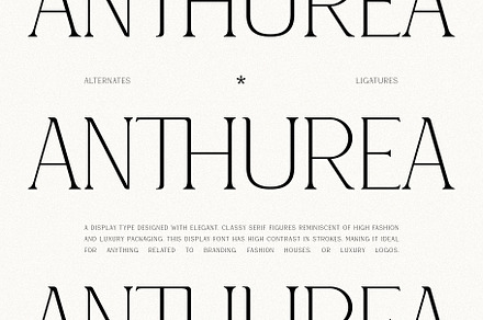 Allegory Serif, a Serif Font by Typia Nesia