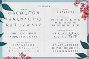 Brilon Font by Heritage Type Co