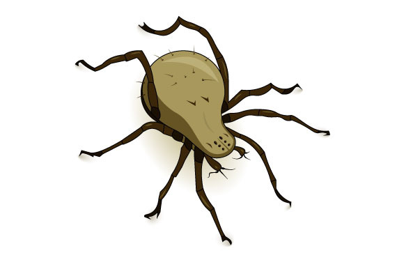 Vector Dust Mite Parasite, an Illustration by BeOGraphic