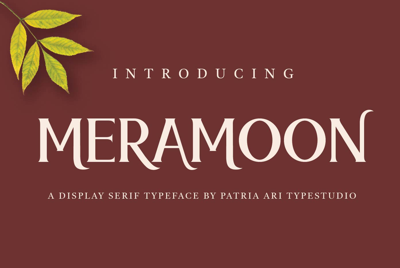 Meramoon - Display Serif Fonts, a Serif Font by Patria Ari (P4tcreativa)