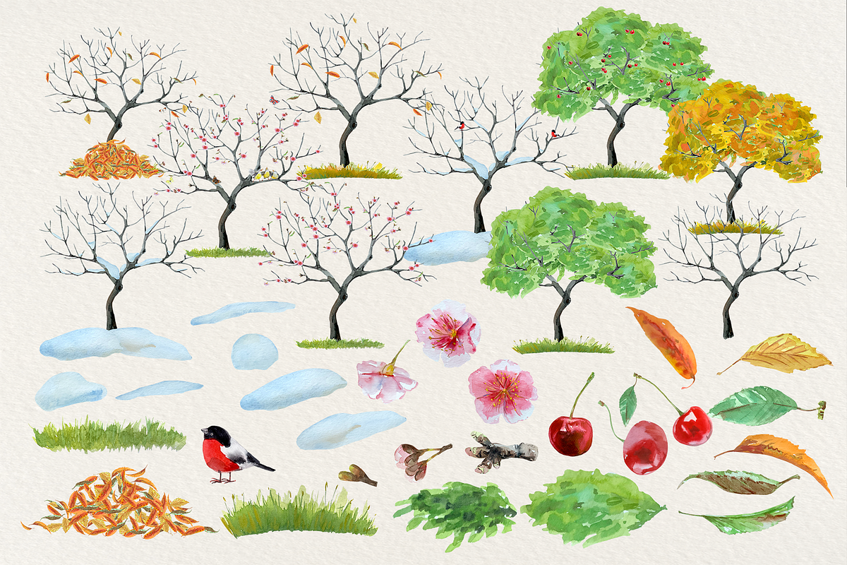 Four Seasons Clip Art Set, an Education Illustration by Tati Bordiu