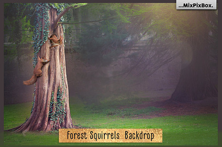 Spring Portrait Backgrounds, a Wallpaper Graphic by MixPixBox