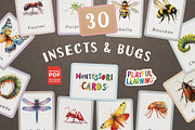 Insects and Bugs Montessori Cards