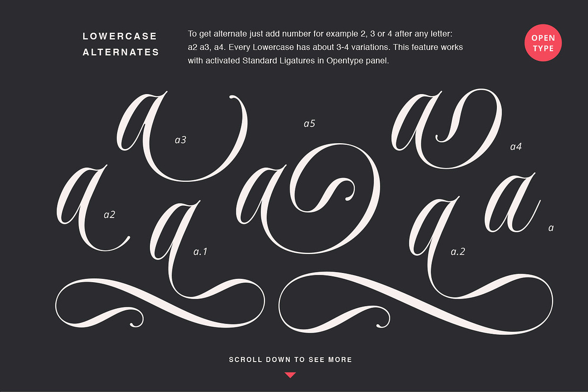 Delirian Script & Ornaments, a Script Font by Andrey Sharonov