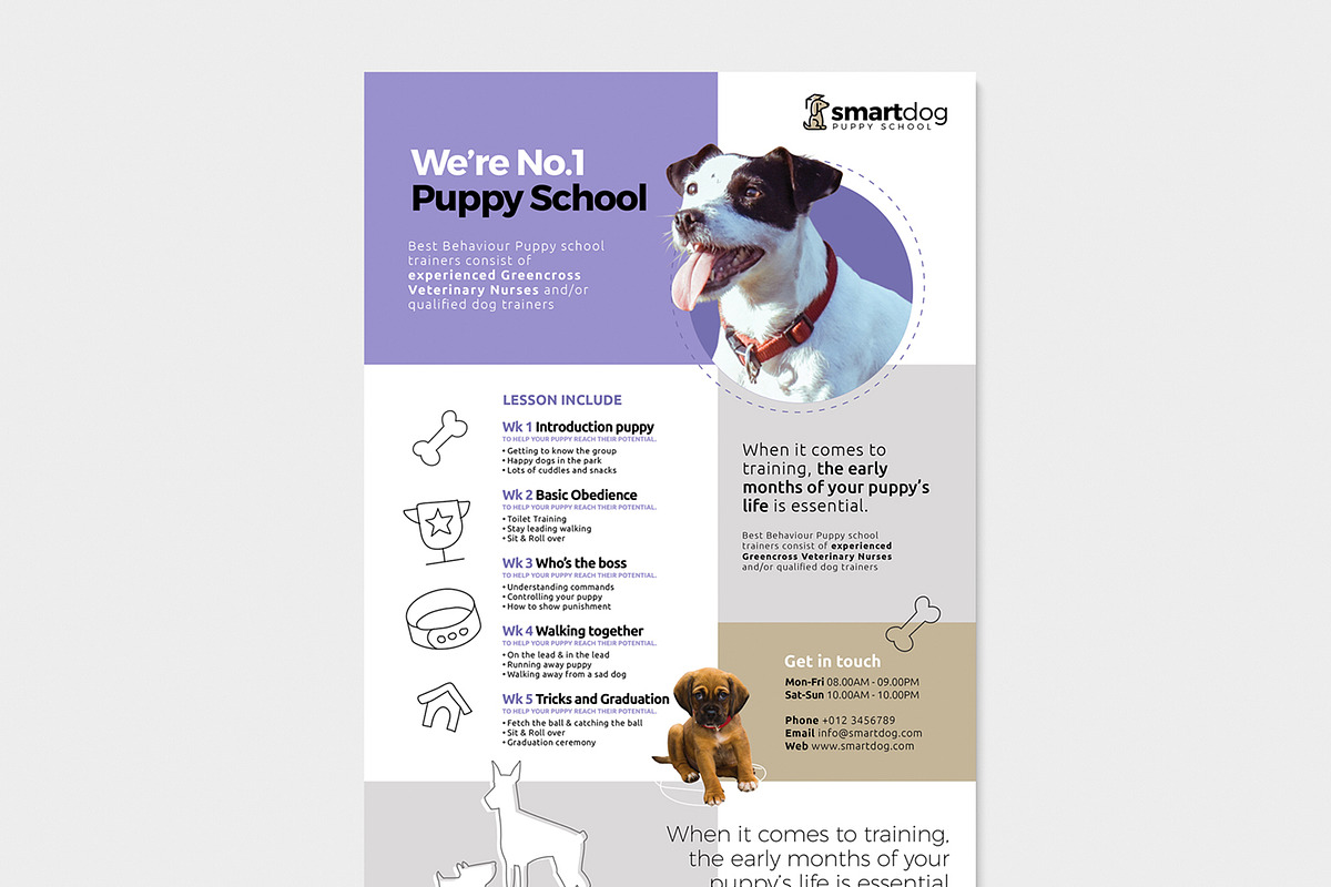 A4 Puppy School Poster Template, a Flyer Template by BrandPacks
