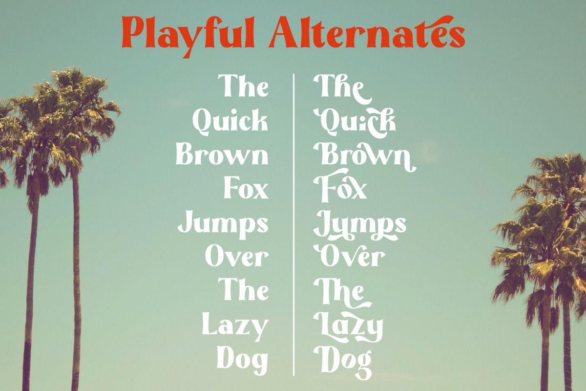 Thickset Serif Display Font