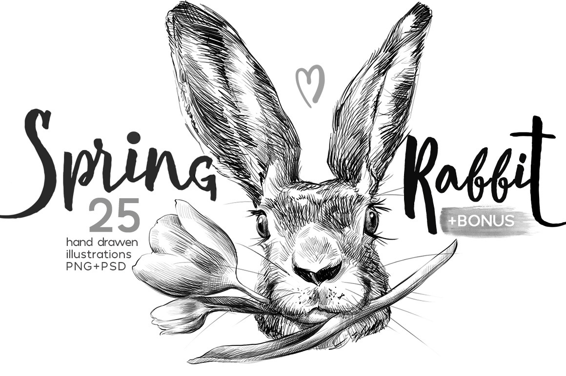 Spring Rabbit, an Animal Illustration by Maria Redko