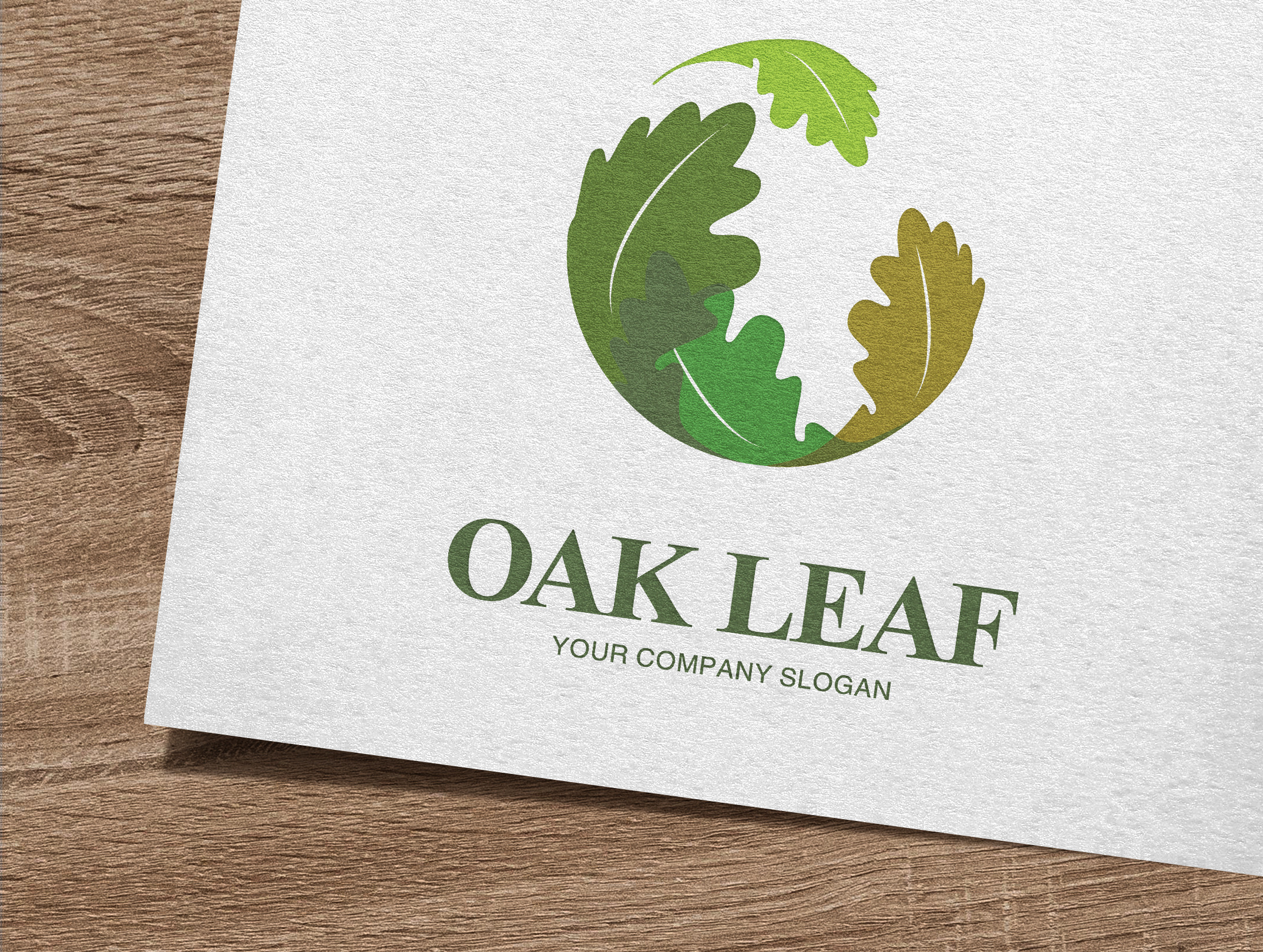 Oak Leaf Logo, a Branding & Logo Template by IKarGraphics