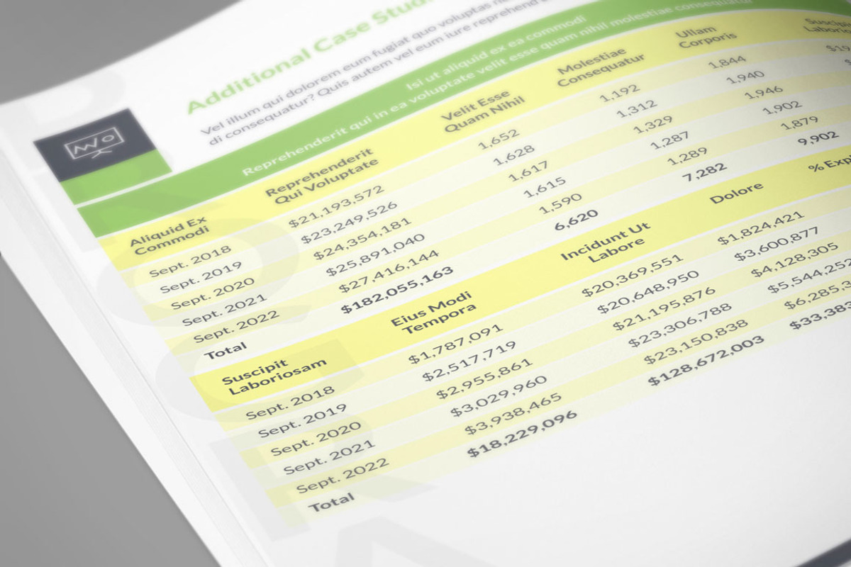 Program Brochure Template, a Brochure Template by creativebythesea