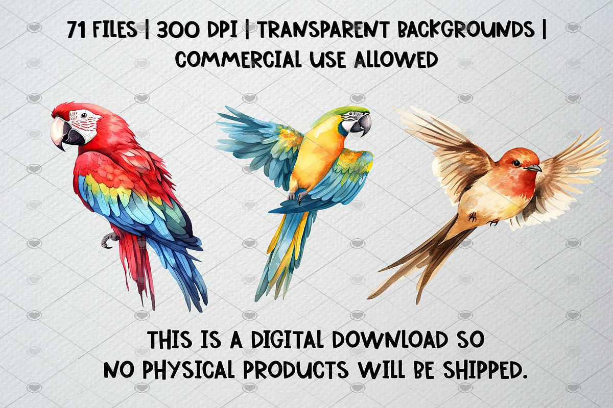 Watercolor Birds Clipart Set, 71 PNG