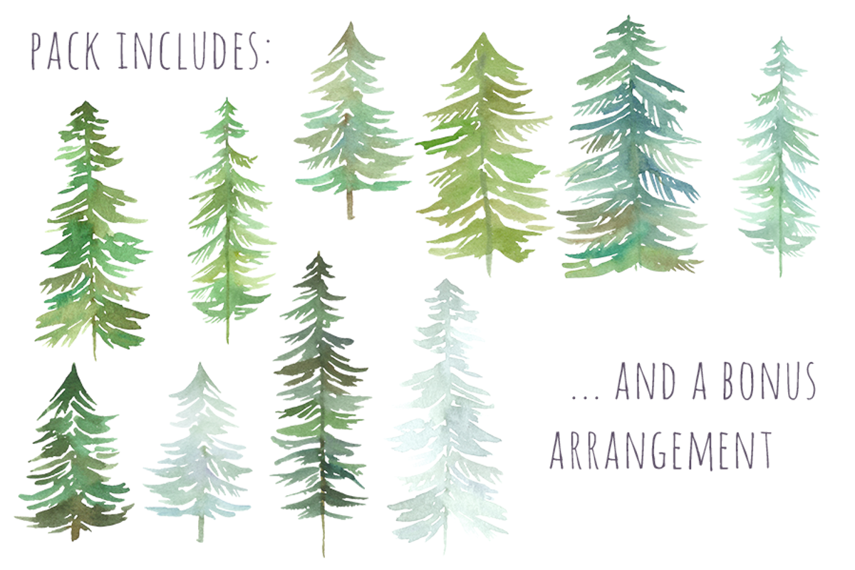 Watercolor Pine Trees Pack, an Illustration by PaperSphinx