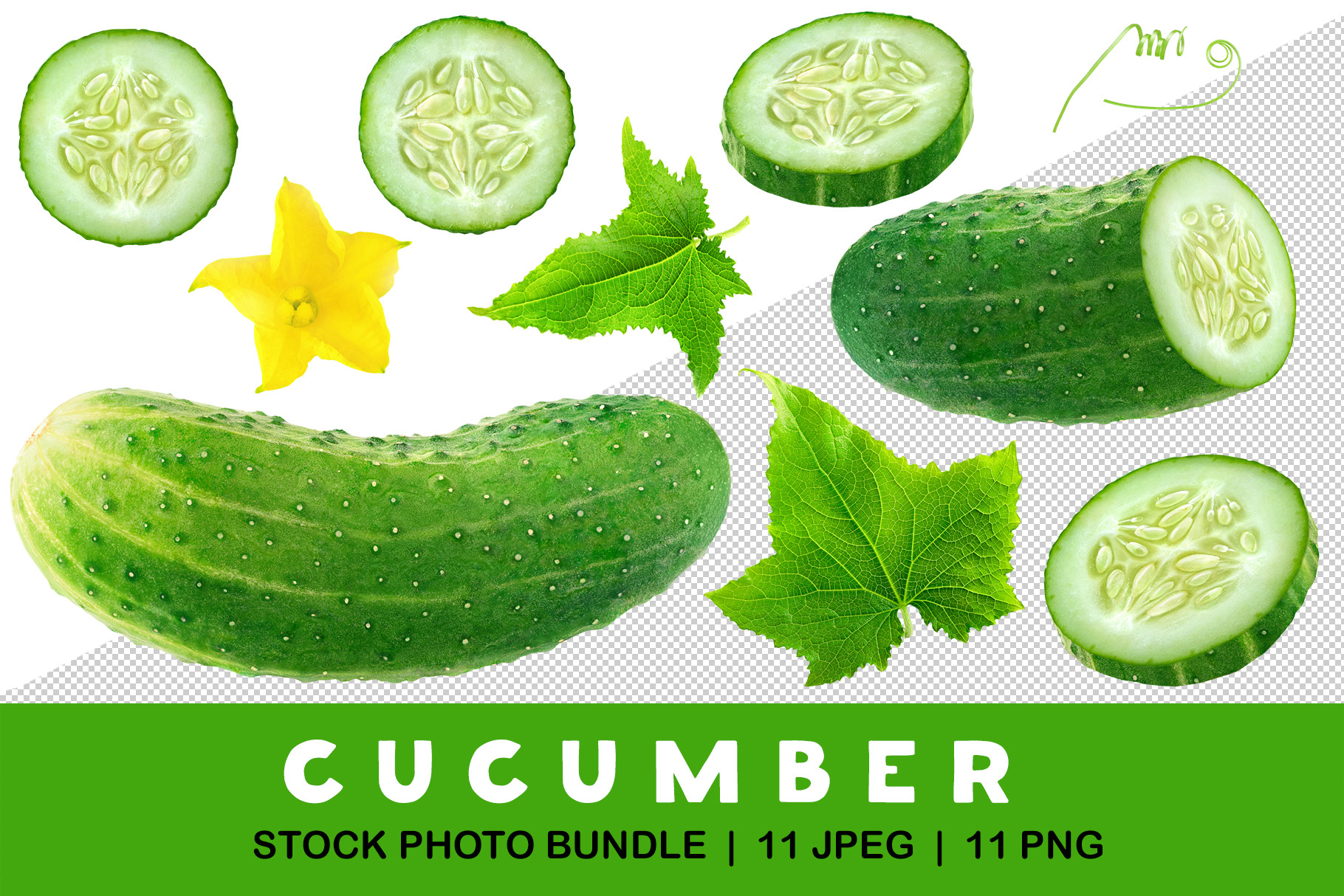 Cucumber pieces, leaves and flower | Graphic Objects ~ Creative Market
