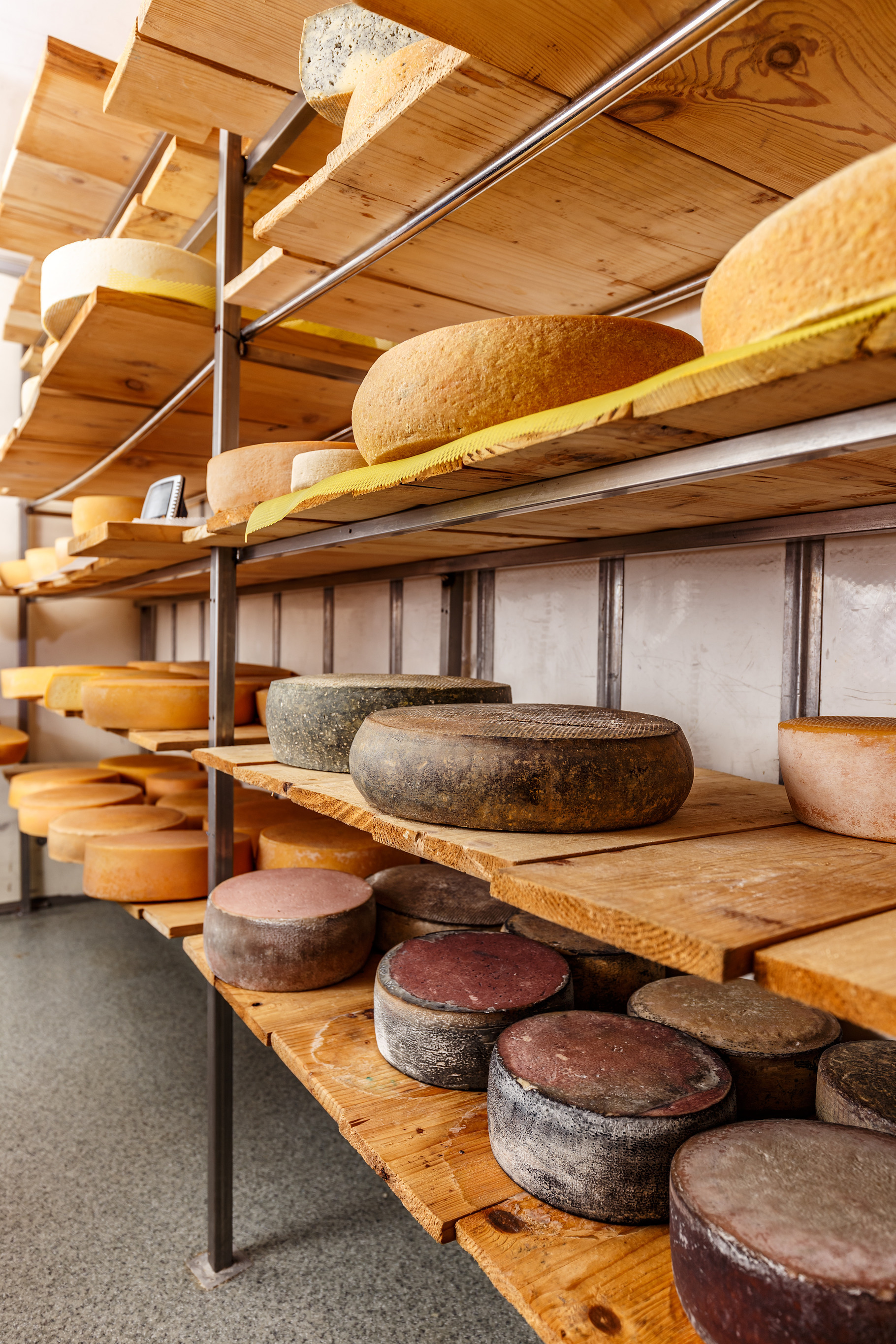 Wheels of cheese featuring cheese, production, and factory, a Food ...