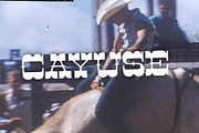 Cayuse Display Font + Word Logos, a Slab Serif Font by William Hastings ...