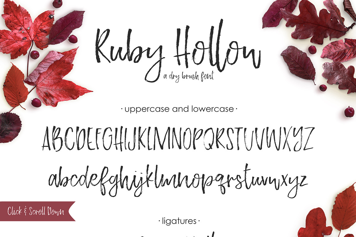 Ruby Hollow, a dry brush font, a Script Font by Rachel White Art