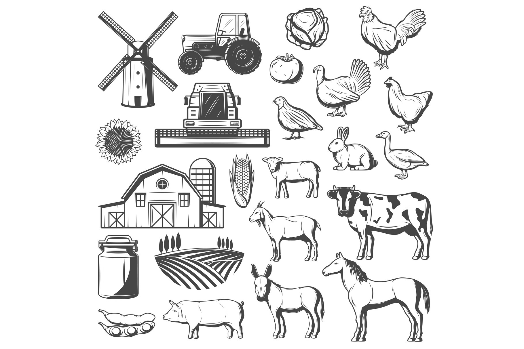 Farm, agriculture and cattle vector | Animal Illustrations ~ Creative ...