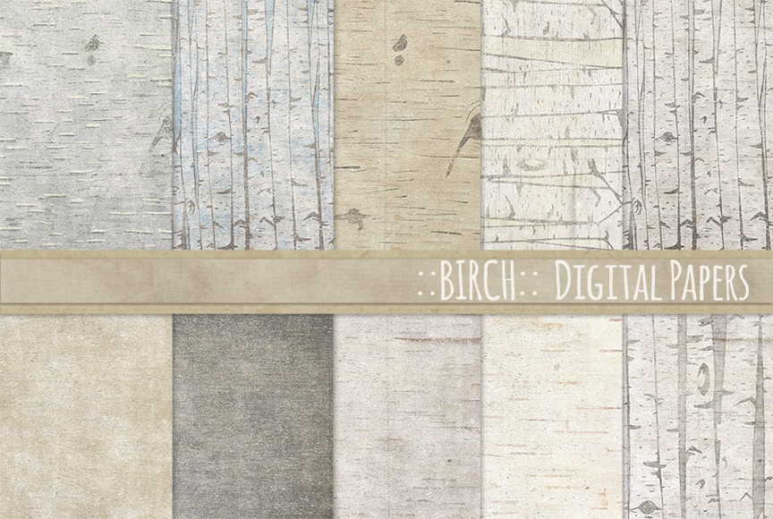 Birch Wood Background Images, a Pattern Graphic by Carrie Stephens Art