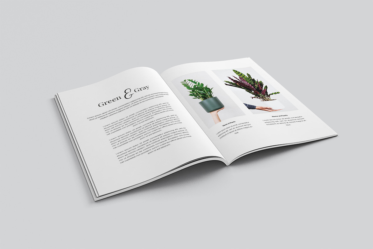 Plant Catalog, a Magazine Template by AQR Studio
