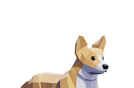 Raccoon, an Animal 3D Model by Studio Ochi