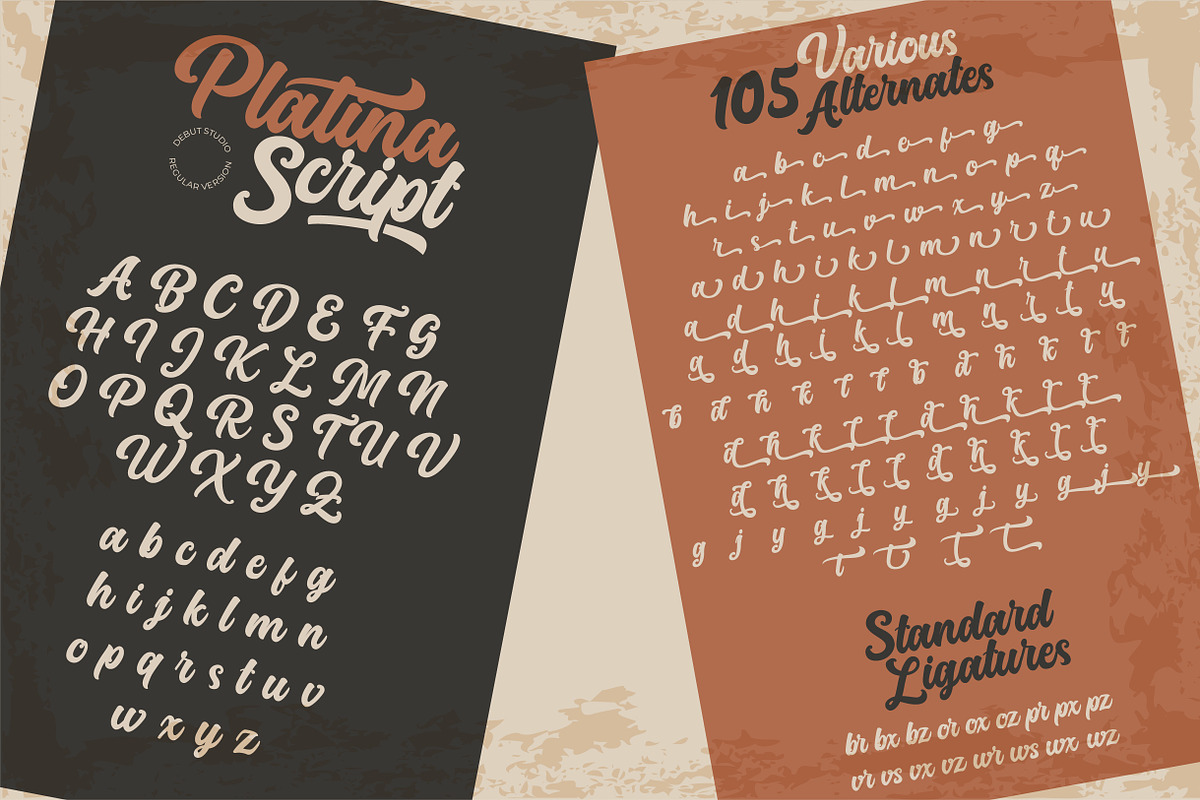 Platina Script / All Version, a Script Font by Debut Studio