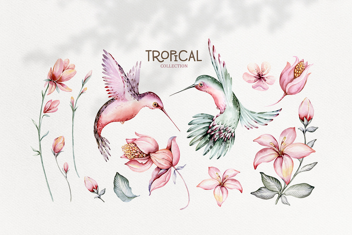 Tropical watercolor collection, an Animal Illustration by Peace ART