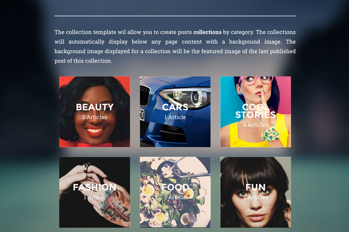 Lust - Journal Wordpress Theme, a WordPress Template by LayerSupplyCo