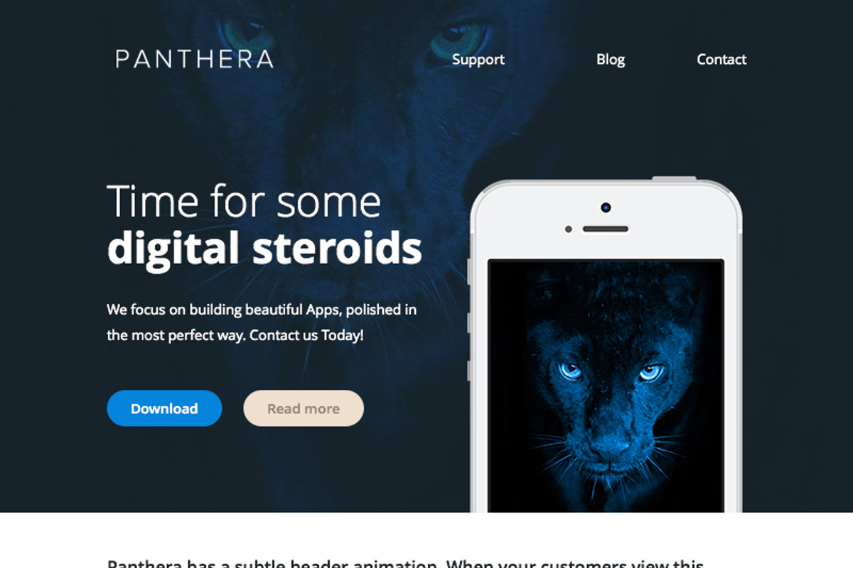 Panthera + Online Template Builder, an Email Template by DynamicXX