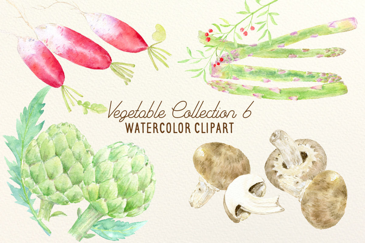 Watercolor Vegetable Collection 6, a Food Illustration by Corner Croft