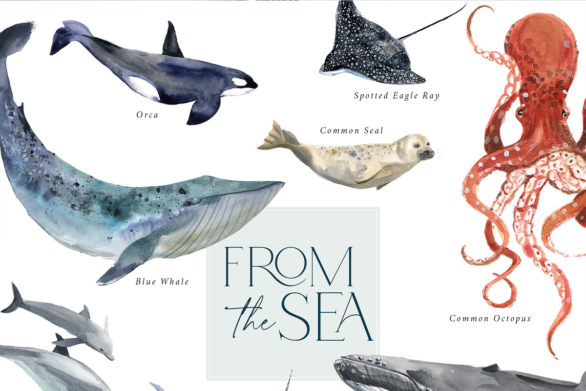 From The Sea Ocean Clipart, an Illustration by Twigs and Twine