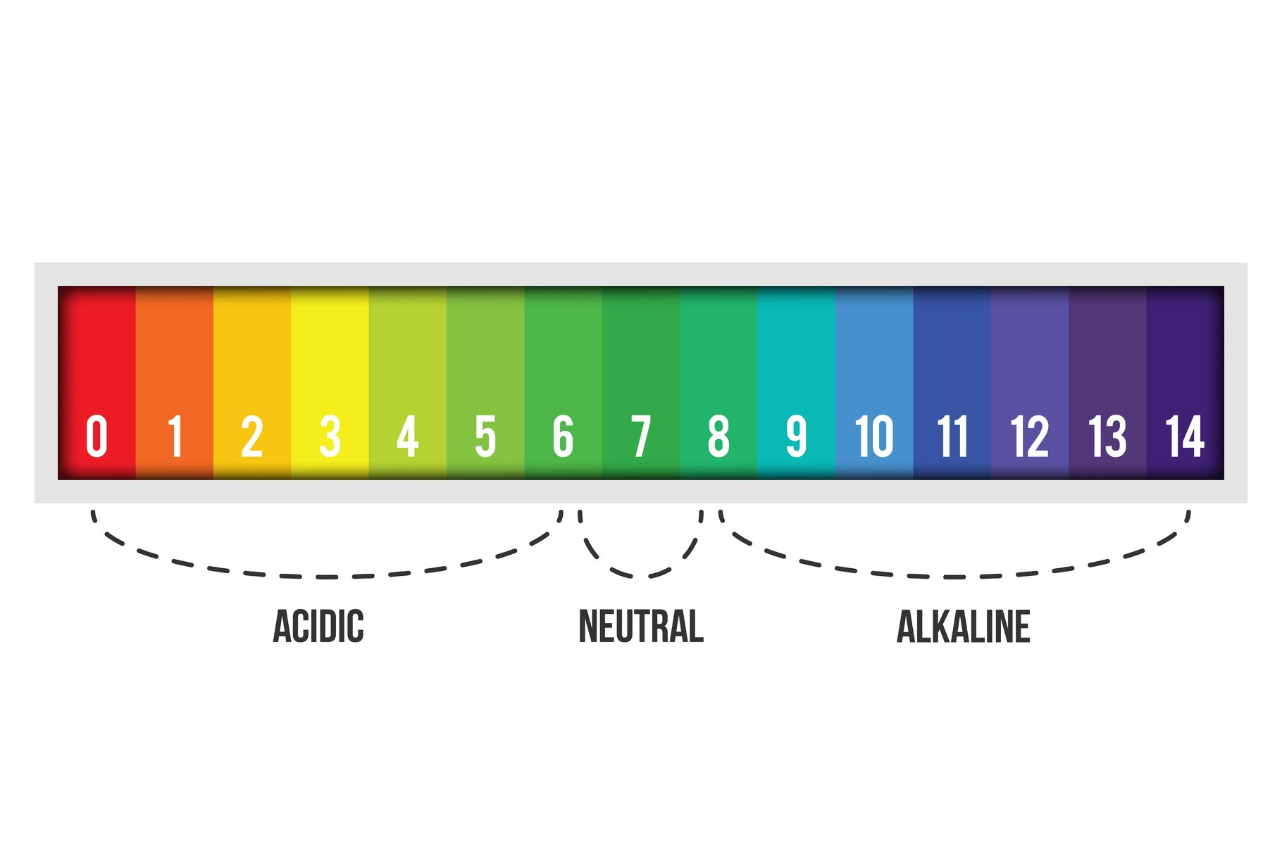 pH scale value, litmus paper element, an Education Illustration by ...