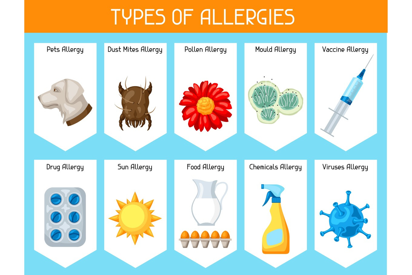 Types of allergies. Background with allergens and symbols. Vector ...