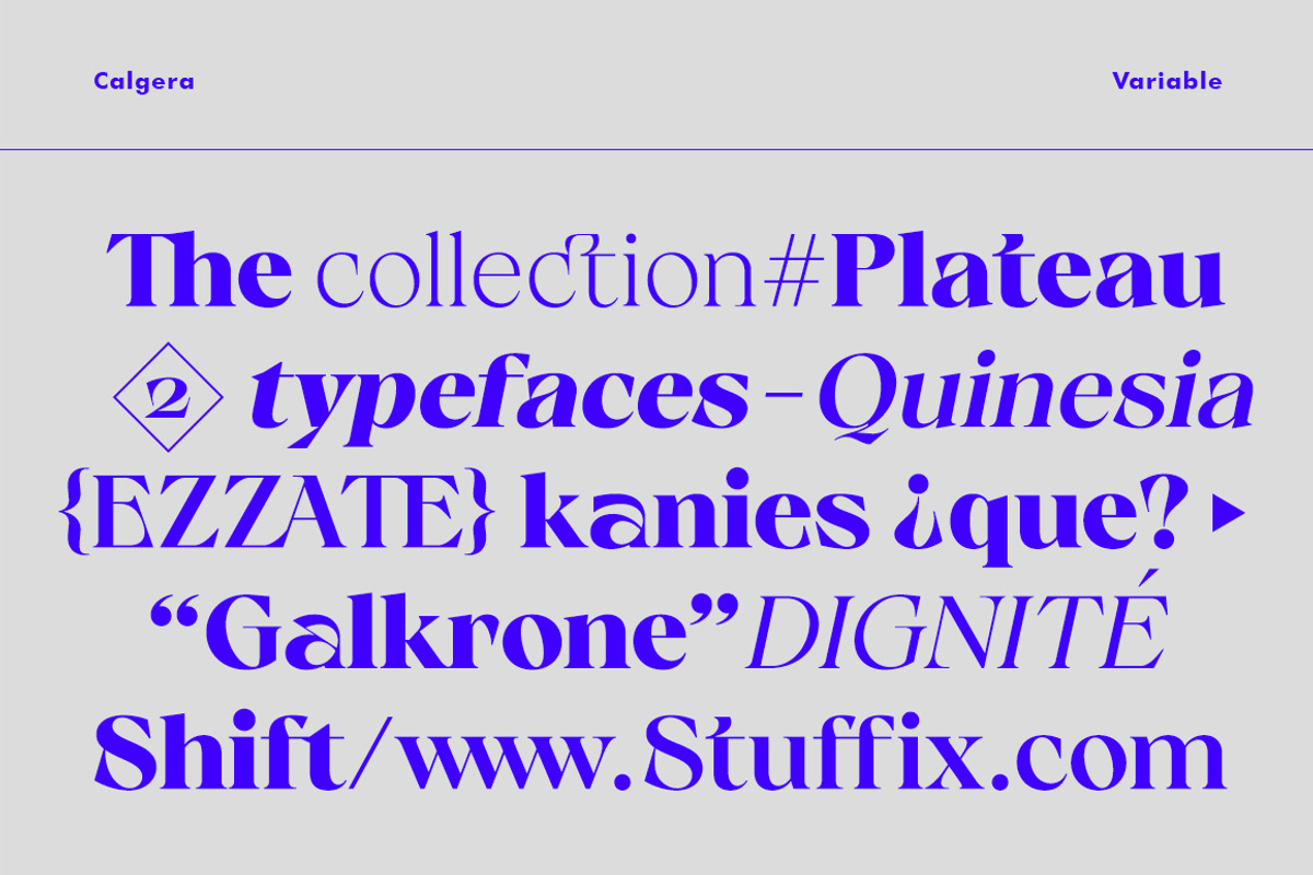 Calgera, a Serif Font by TRF Fonts
