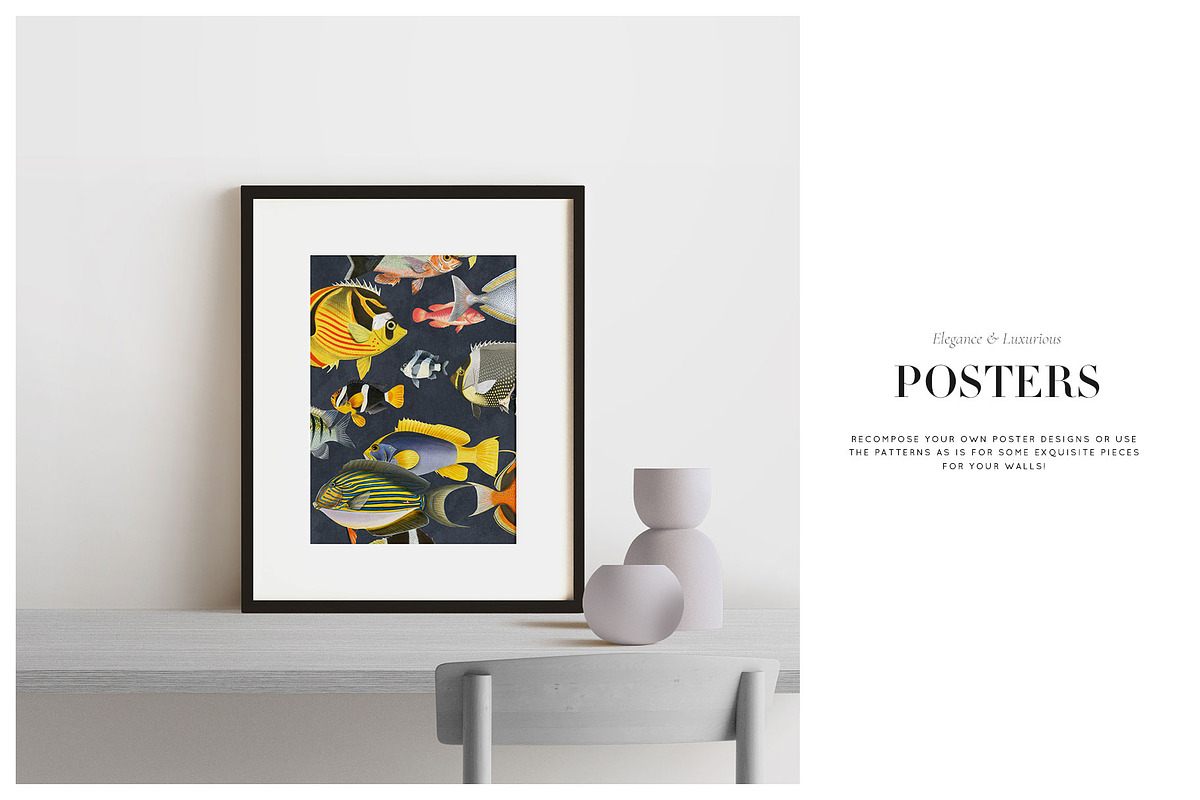 Pez, Exotic fish Patterns & Motifs, a Pattern Graphic by Pink Linen