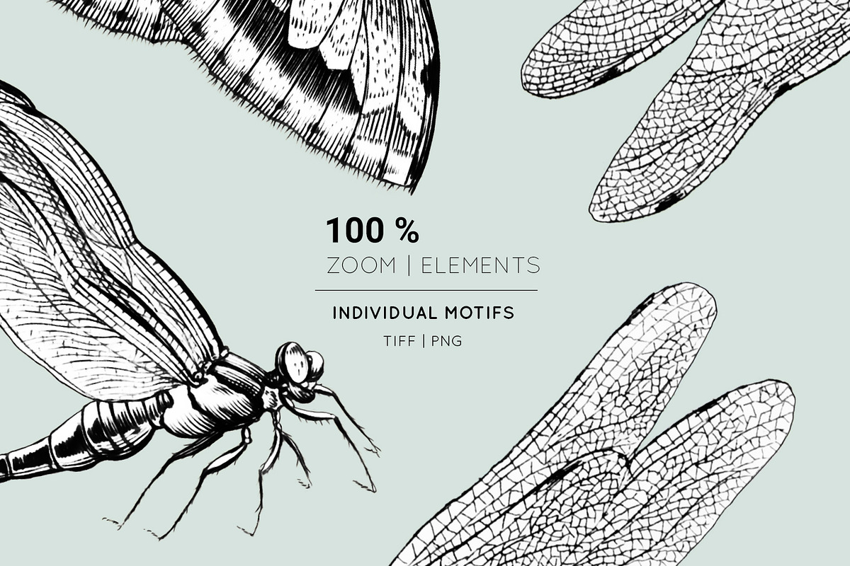 La Fleur, Pattern & Illustration Set, a Pattern Graphic by TSTUDIO