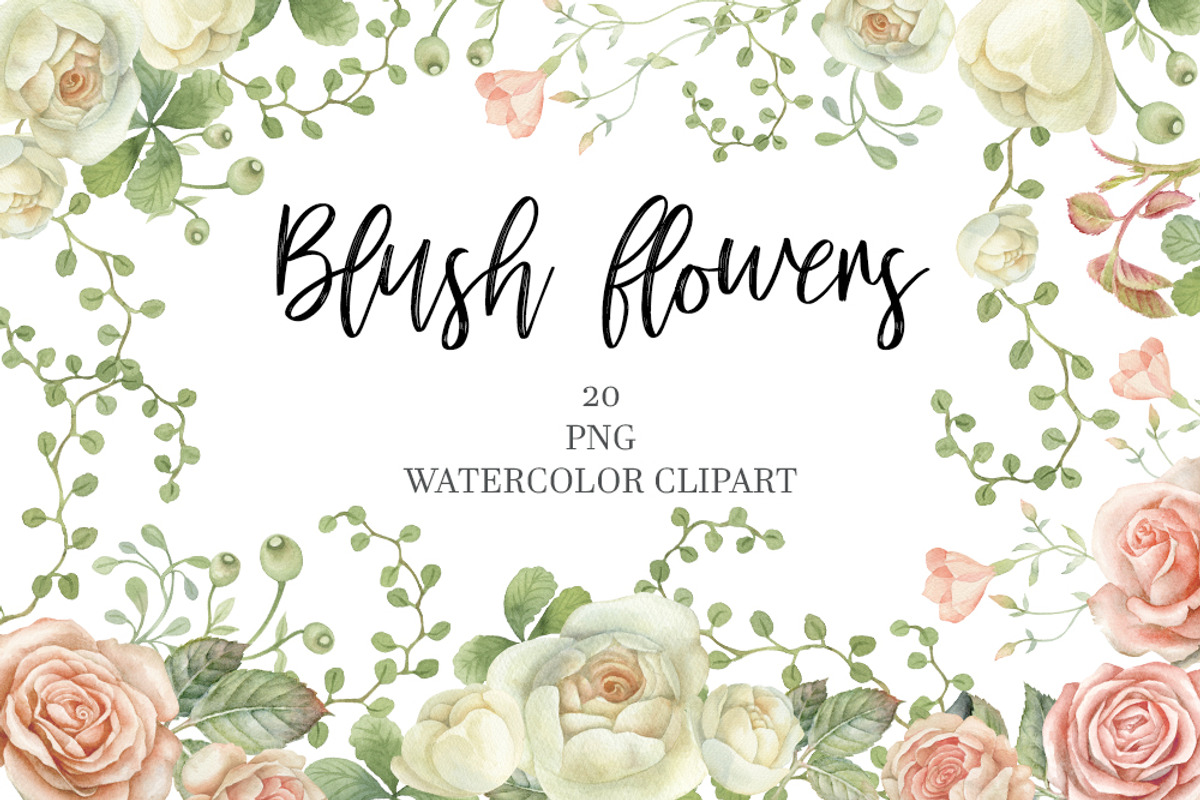 Watercolor blush flowers., an Illustration by Mary