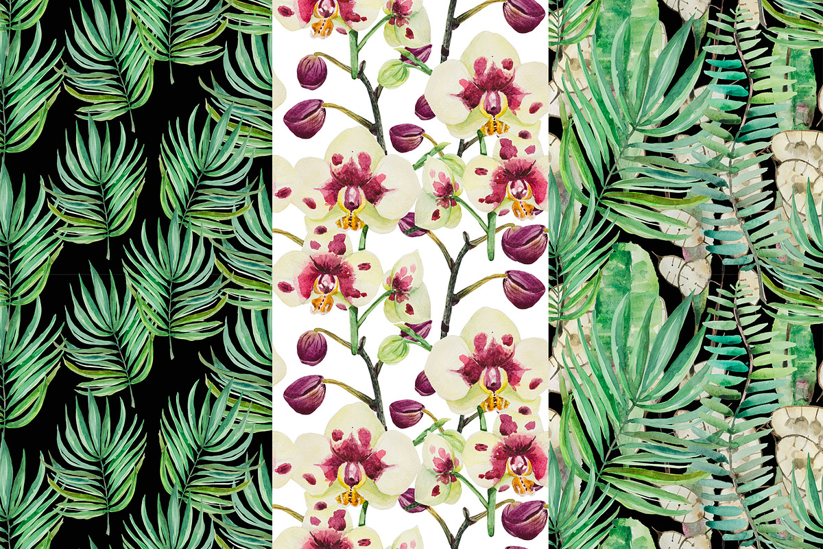 Tropical patterns, a Pattern Graphic by Design X0
