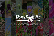 Flora Photo Pack V1, a Nature Photo by LuisFaus